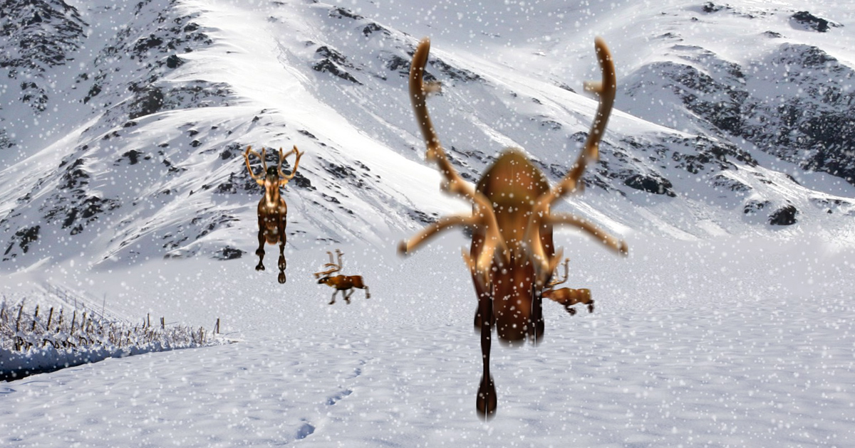 Santa’s Reindeer Caught On Camera Flying - North Pole